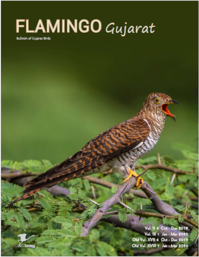 Vol-II-4-Oct-Dec-2019 / Vol-III-1-Jan-Mar-2020 (Issue Merge) - Flamingo ...